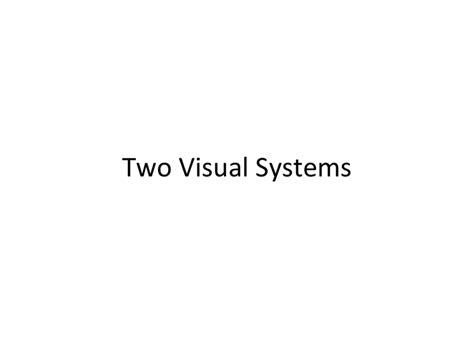 Two Visual Systems Dorsal And Ventral Pathways
