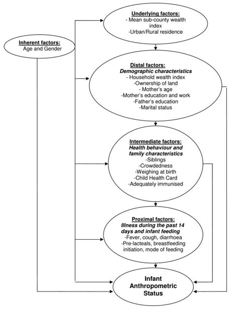 The Conceptual Hierarchical Framework Used As The Basis For Controlling