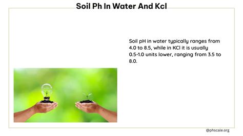 Soil Ph In Water And Kcl Understanding The Differences And