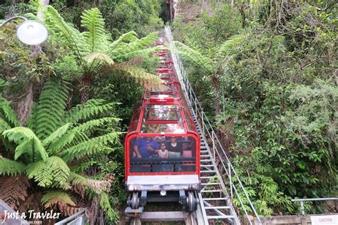 雪梨景點｜藍山國家公園 Blue Mountains 交通、行程、景點全攻略！