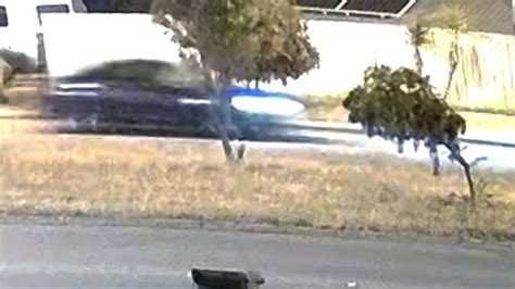 Suspected Balcatta Hit And Run Victim Identified As Rebecca Collard 7news