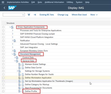 SAP DMS Document Management System