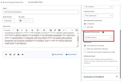 d2l restrict file types on dropbox submissions the dome