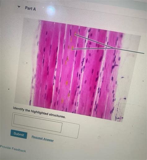solved part a identify the highlighted structures submit