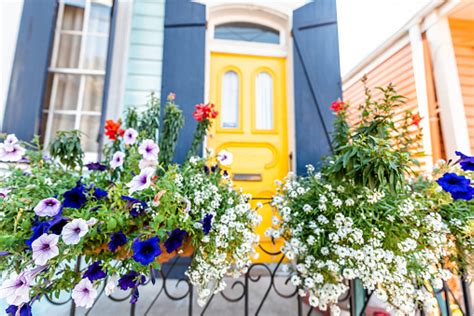 보라색과 파란색 Calibrachoa 피튜니아 꽃 바구니 화려한 여 울타리에 매달려의 건물 집 입구와 아무도 뉴 올 리 언 즈