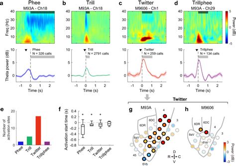 Frontal Cortex Activity During The Production Of Diverse Social