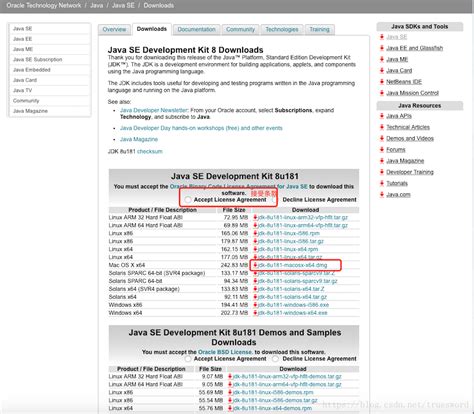 Mac Os 安装 Javamac 安装java Csdn博客