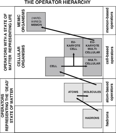 Using The Operator Hierarchy To Define Life And Organisms Arrows Download Scientific Diagram