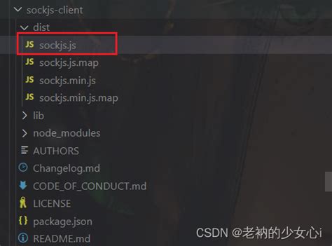 vue项目冗余请求处理 localhost 8080 sockjs node infot 1683604231866