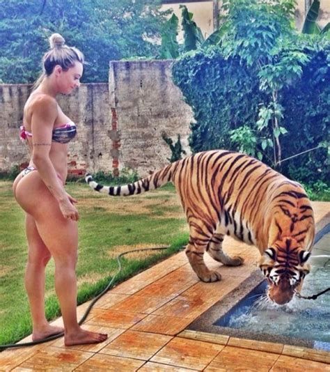 Ass And A Tiger Porn Pic