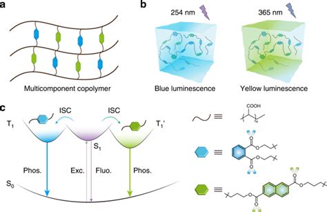 Color Tunable Ultralong Organic Room Temperature Phosphorescence From A Multicomponent Copolymer