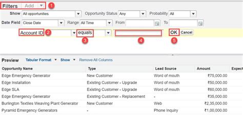 How To Create Dynamic Filter In Salesforce Report Salesforce Faqs