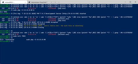 Binding WSL2 Ports To A Different IP Address In 127 0 0 0 8 Range
