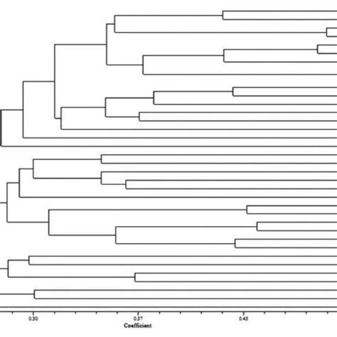 Upgma Dendrogram Showing Relationship Among Thirty Six Pearl Millet