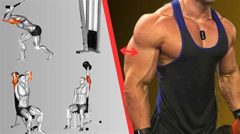 Los 16 Mejores Ejercicios De Tríceps Que Necesitas En El Gym Youtube