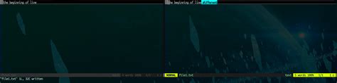 Vim Diff Is Not As Good As Vscode Rvim