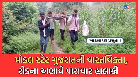 Video વિકાસ મોડલની વાસ્તવિક્તા રોડના અભાવે છોટા ઉદેપુરના અમાદ્રા ગામની