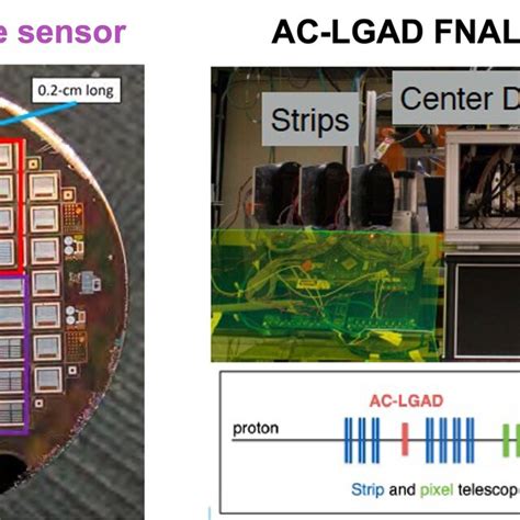 The Carrier Board Of The Ac Lgad Prototype Pixel Sensor And The 3 Layer Download Scientific
