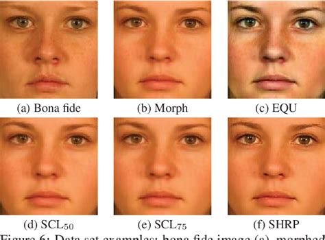 Figure 6 From Prnu Variance Analysis For Morphed Face Image Detection Semantic Scholar