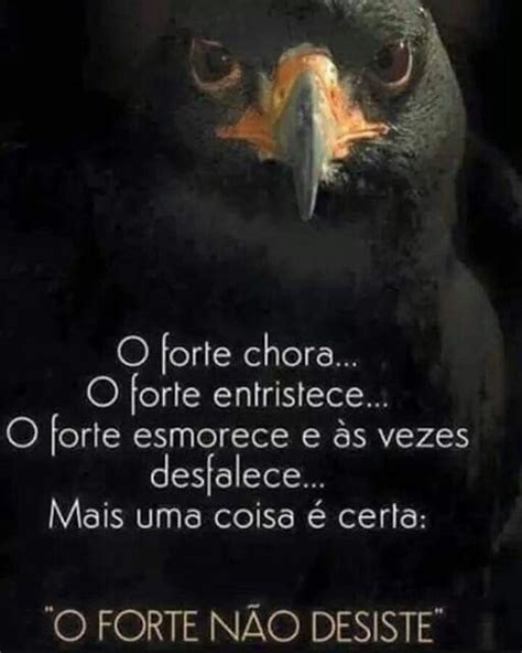 Fim é fim Não insista em permanecer naquilo que já acabou os ciclos