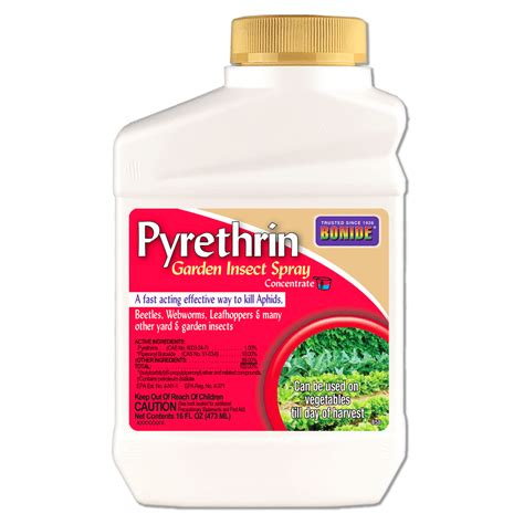 Pesticide Spray Can