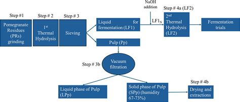 Isolation And Characterization Of Phenolic Substances From Pomegranate Residues Papageorgiou