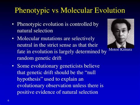 Ppt Evolution And Population Genetics Powerpoint Presentation Free