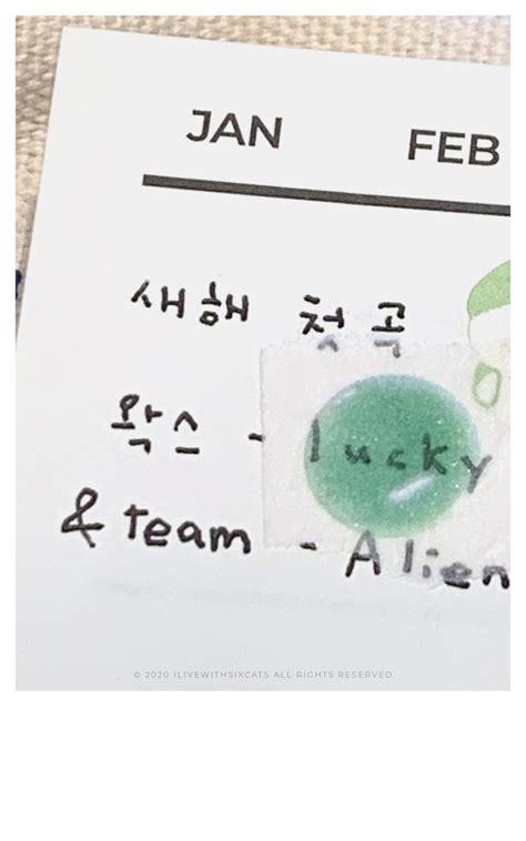 [마스킹테이프] 고양이의 여름수집 감도 깊은 취향 셀렉트샵 29cm