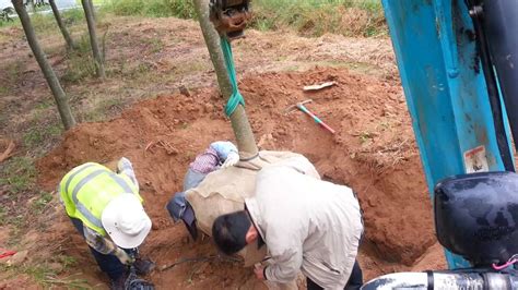 미니포크레인 조경 굴채작업 분뜨기 Youtube