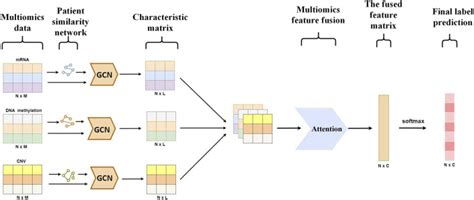 Classifying Breast Cancer Using Multi View Graph Neural Network Based
