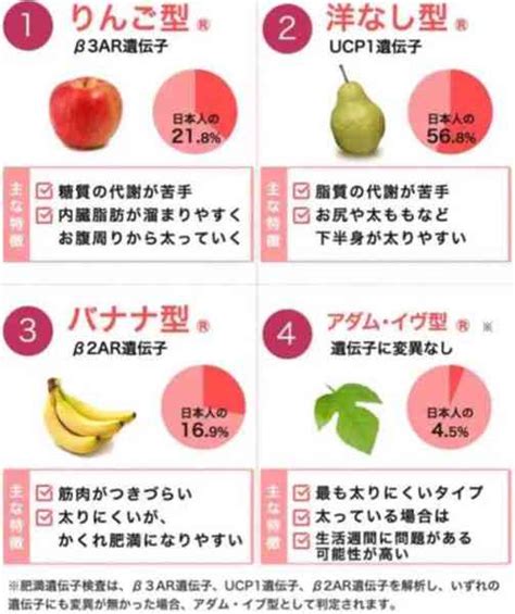 タイプ別ダイエット方法3 Nanea Cafe