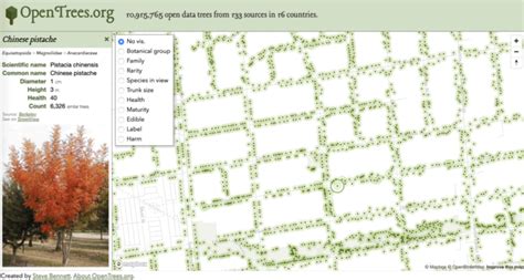 Access Open Gis Data For Almost 11 Million Trees With Opentrees Geography Realm