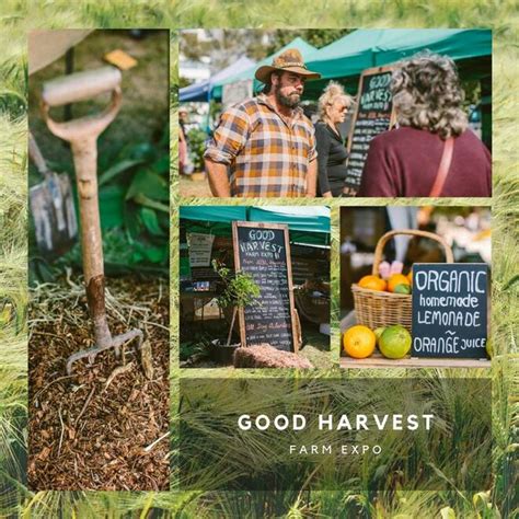 World Environment Day Festival 2019 FREE Event