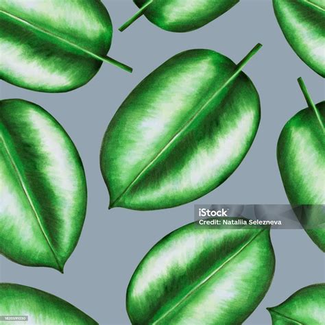 수채화 사실적인 이음매 없는 패턴 흰색 배경에 분리된 Ficus 잎의 열대 그림 아름 다운 식물 손으로 그린 꽃 요소 디자이너 스파 장식 엽서 결혼식 인사말 배경 화면