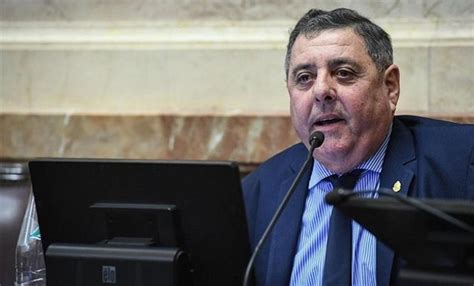 De Angeli Se Metió En La Discusión Por Los Incendios En El Paraná Y