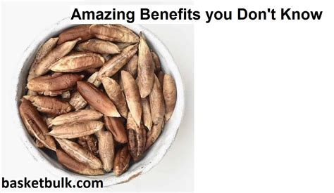 10 Date Seeds Benefits Amazing Benefits You Dont Know