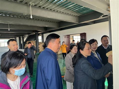 省妇联来舒开展主题党日活动舒城县人民政府