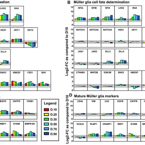Examination Of Various Genes Expressed By Müller Glia And Selectively