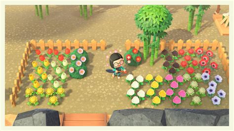 Acnh Trade I Have Fruits And Vegetables And Flowers Racnh