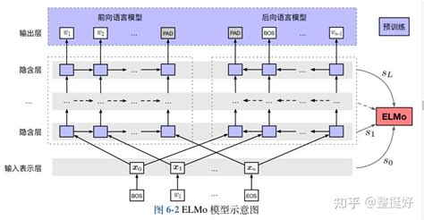 Elmo预训练模型解析（附代码） 知乎