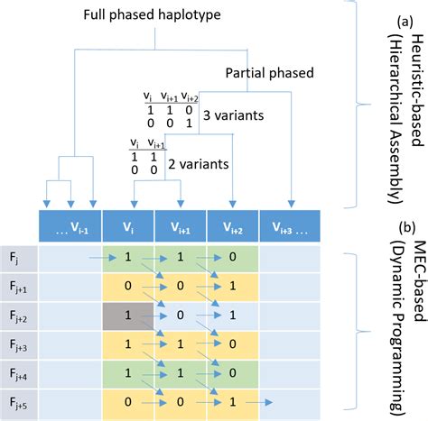 HAHap A Read Based Haplotyping Method Using Hierarchical Assembly PeerJ