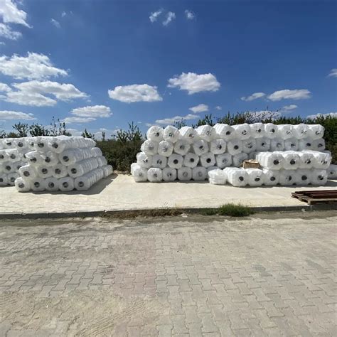 ბაღის ქოლგა დგას კვარცხლბეკის ფეხებზე