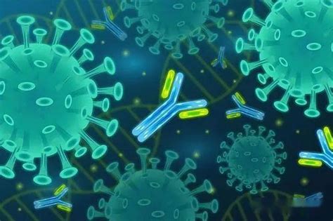 生物学老师告诉你：恐龙血，比熊猫血更稀有！孟买血型抗原