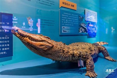 海洋 海洋图片 海洋高清图片 酷吧图库