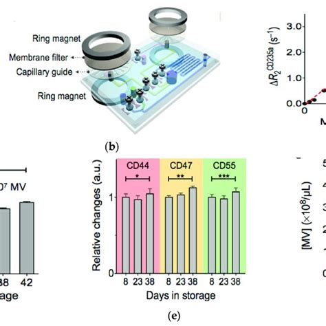 Magnetic Nanosensor For The Detection And Profiling Of Microvesicles Download Scientific