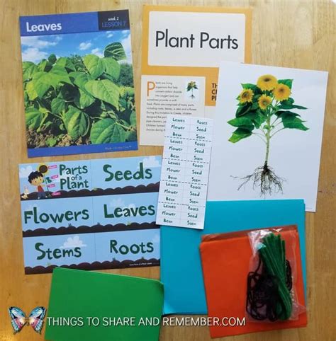 Growing Gardens Preschool Theme For Spring Weekly Lessons