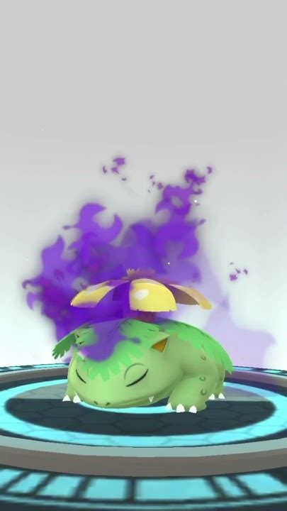 그림자 이로치 이상해풀 진화 Shorts 포켓몬고 Youtube