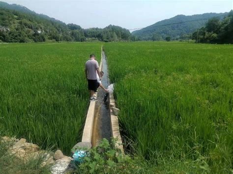 安徽太湖刘畈乡：干群齐上阵 抗旱保生产凤凰网安徽凤凰网