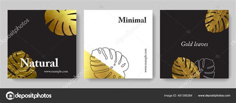 Minimal Natural Monstera Leaves Social Media Templates Square Layouts