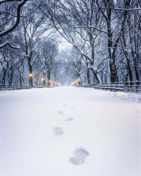 100 Cozy Winter Aesthetic Wallpapers